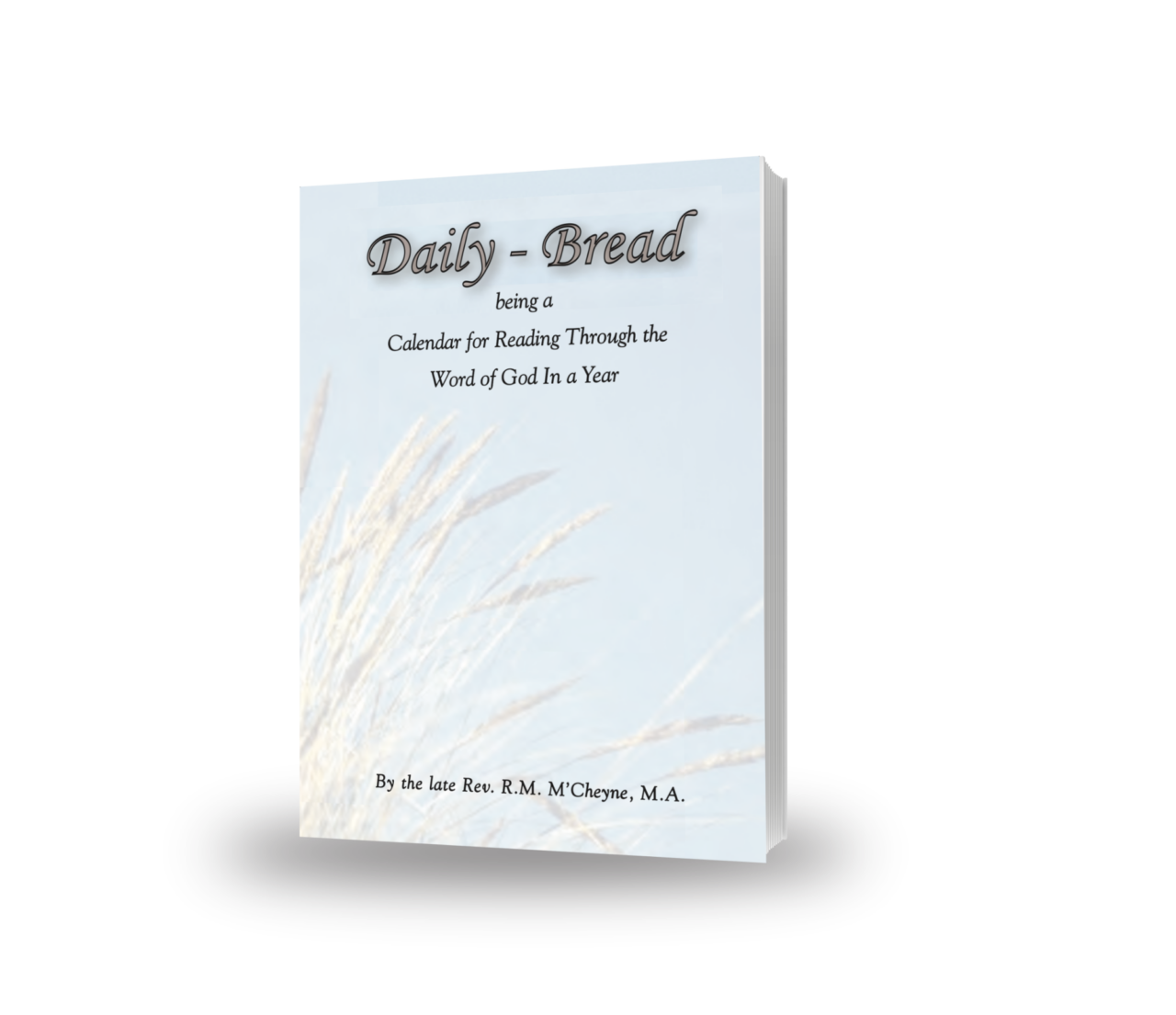 Free Literature | Life & Light Ministries